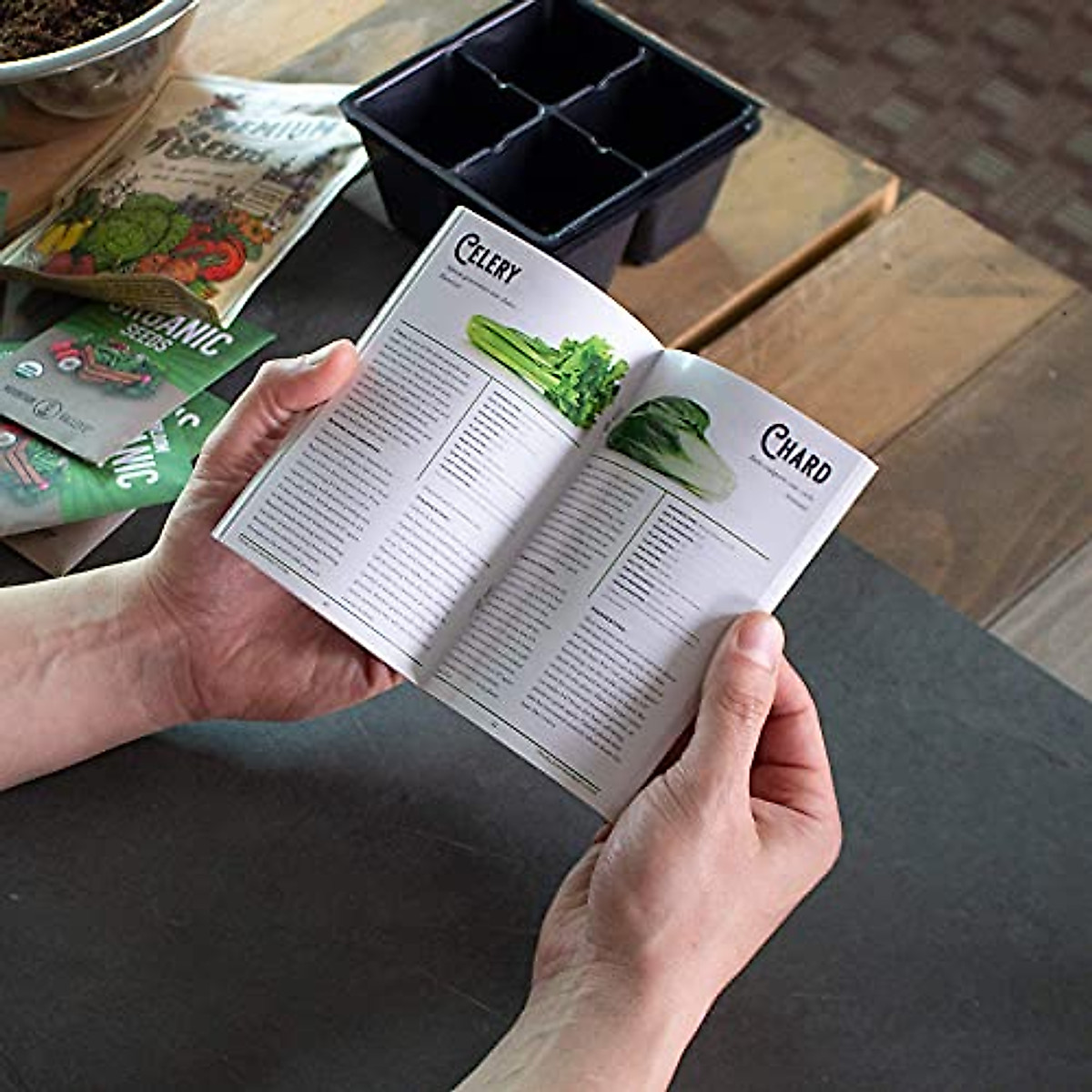 22,000 Non GMO Heirloom Vegetable Seeds, Survival Garden, Emergency Seed Vault, 34 VAR, Bug Out Bag - Beet, Broccoli, Carrot, Corn, Basil, Pumpkin, Radish, Tomato, More