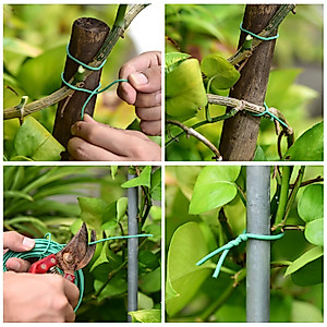 YDSL 66 Feet Soft Plant Tie, Green Twist Garden Ties for Plants, Office Organization and Home(Diameter - 2.5MM)