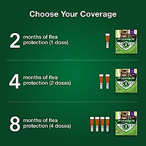 Advantage® XD NEW Flea Prevention & Treatment for Large Cats Over 9 lbs, 2 Topical Doses, 4-Month Coverage, Long Lasting