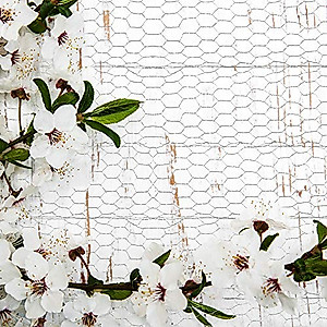 Aboofx Chicken Wire for Craft, 118 x 4 inch Floral Chicken Wire Net, Hexagonal Chicken Wire for Garden Poultry, with One Mini Cutting Pliers and 1 Pair Gloves