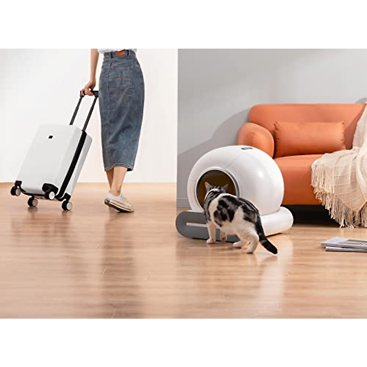 Automatic Cat Litter Box Self-Cleaning - App Control Odor Removal Cat Litter Box for Large Multiple Cats Indoors, CA030