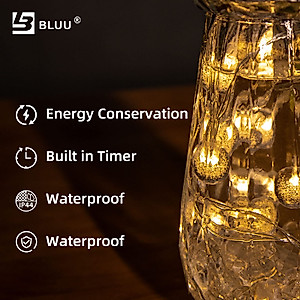 BLUU String Lights 34ft Outdoor 100 Led Crystal Globe Bulb 33 Feet Long String Lights 8 Lighting Modes, Waterproof Battery Powered Patio Lights for Garden Yard Porch Wedding Party Decor