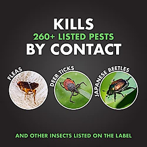 Spectracide Concentrate Triazicide Lawn & Landscapes Insect Killer, 40 oz, Black