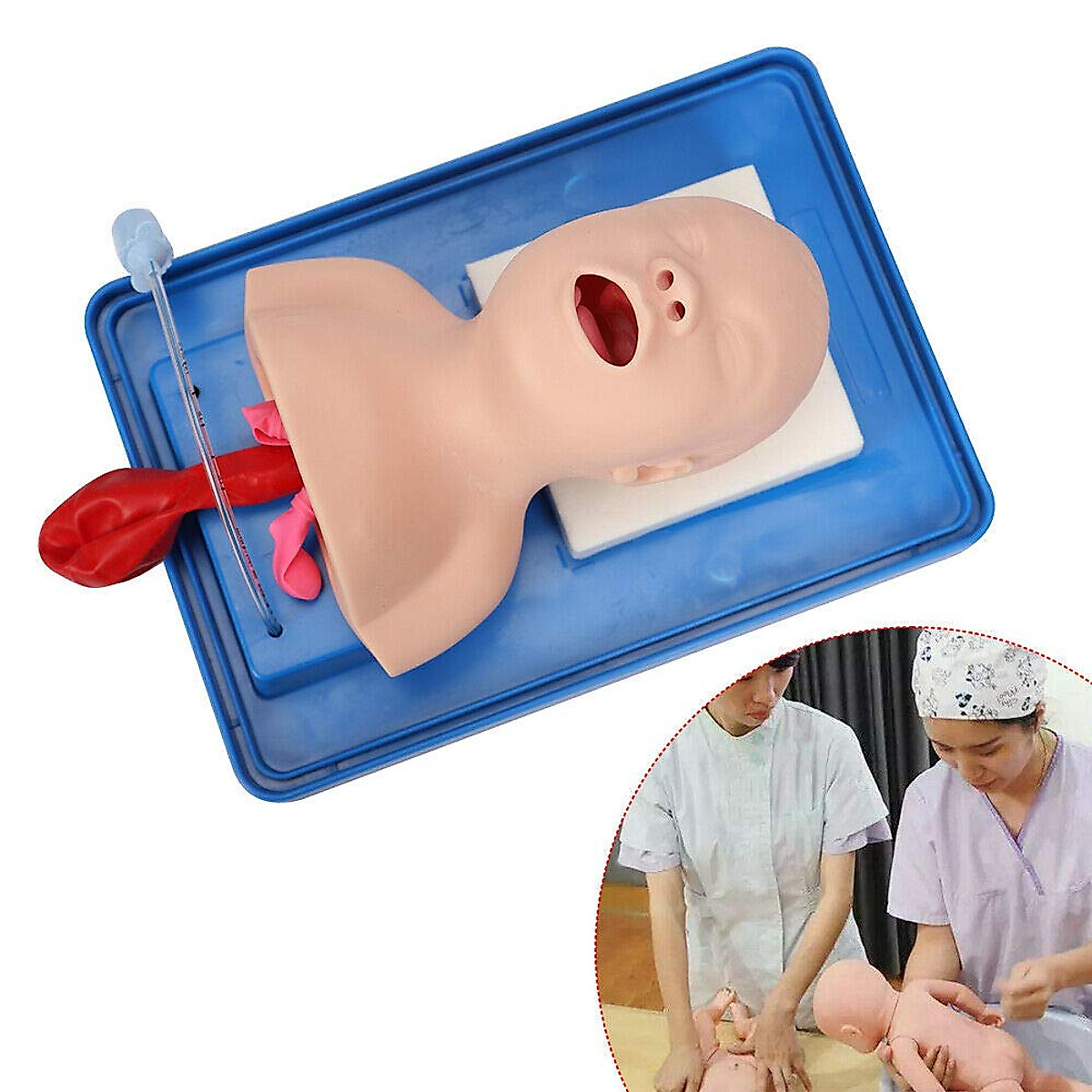 PVC Intubation Manikin Study Teaching Model Infant Baby Model Airway Management Trainer Tool with Tube (US Stock)
