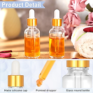 Nuogo 100 Pieces Glass Dropper Bottles 1 oz Essential Oil Dropper Bottles with Labels and Funnels Golden Caps Empty Tincture Bottles Perfume Cosmetic Travel Liquid Containers with Droppers (Clear)