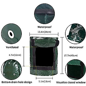 10 Gallon Plant Grow Bags-3 Packs, Fabric Grow Pots for Strawberry Potato Tomato Carrot & Other Vegetable, Heavy Duty Thickened Garden Growing Bags with Window and Handles (Dark Green)