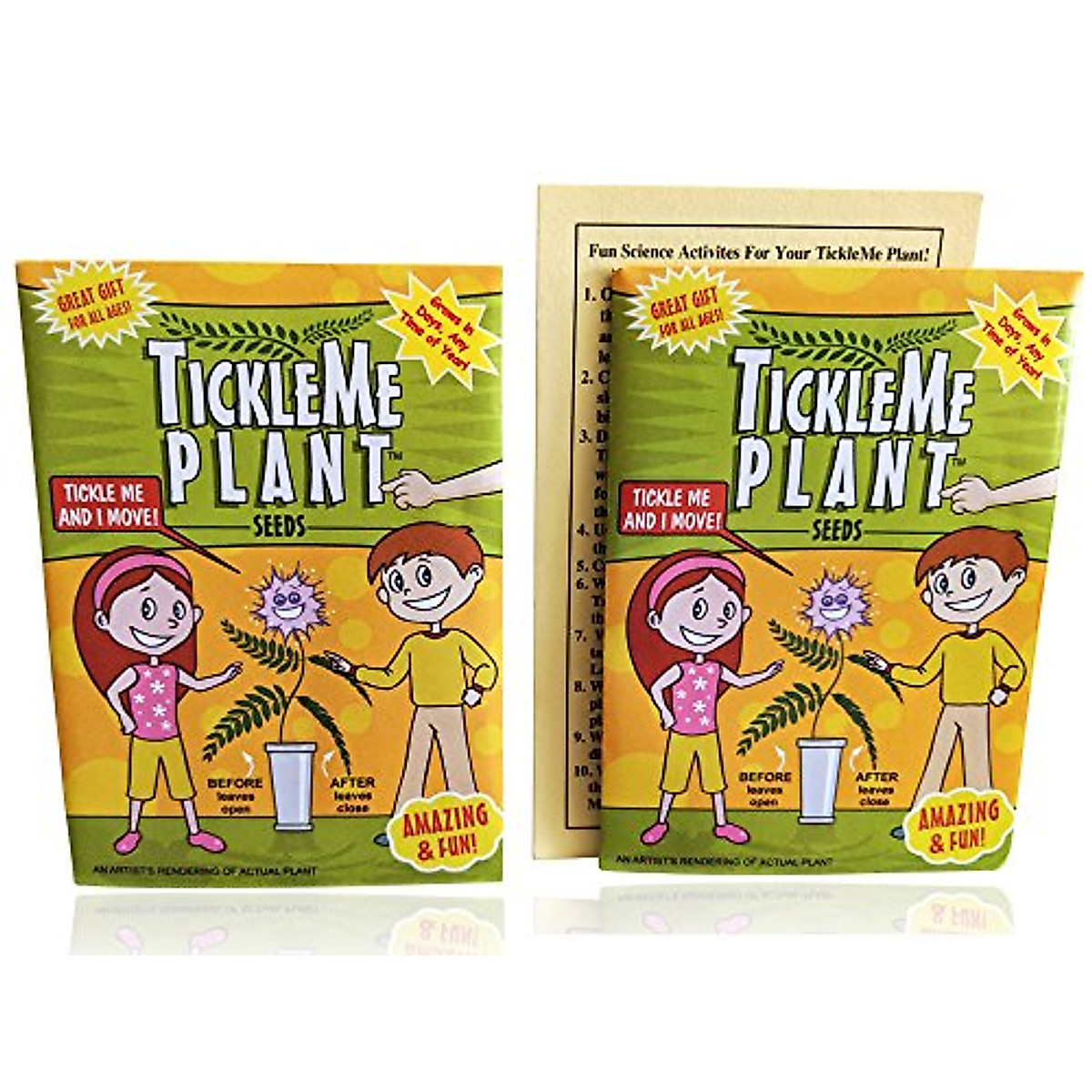 TickleMe Plant Seeds Packets (2) Party Favor! Leaves Fold Together When You Tickle It. Great Science Fun, Easy to Grow Indoors. It Can Flower. Include 10 Activities. Re-Opens in Minutes!