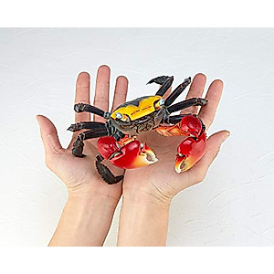 Kaiyodo Revogeo 002: Chiromantes Haematocheir PVC Figure