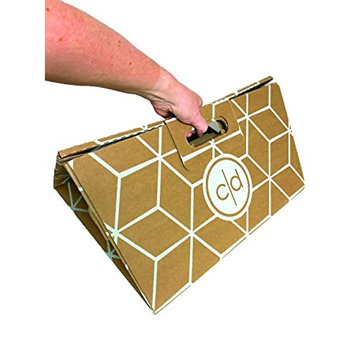 Cats Desire Disposable Litter Boxes 10 Trays-8.5 inches Tall Each Tray