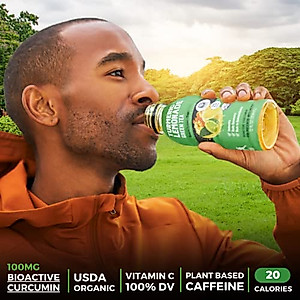 Organic Golden Tiger Turmeric Lemonade with Green Tea - Bio Active Curcumin + Green Tea + Ginger - 12 Bottles - Recover with Plant Based Power - 20 Calories