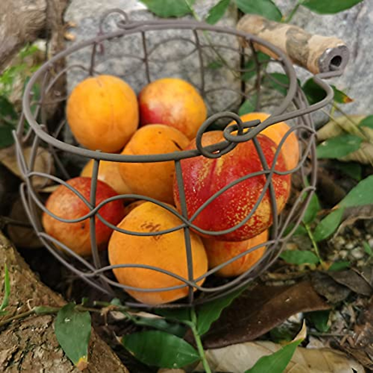 Metal Wire Egg Baskets for Collect Fresh Egg Baskets Countertop Holder, LINCOUNTRY Rustic Round Small Chicken Basket Gathering Fresh Egg With Handle,Country Primitive Farmhouse Vintage Storage Gift