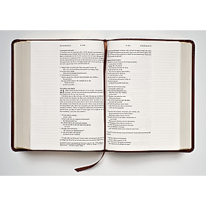 NLT Wide Margin Bible, Filament Enabled (LeatherLike, Dark Brown Palm, Red Letter)