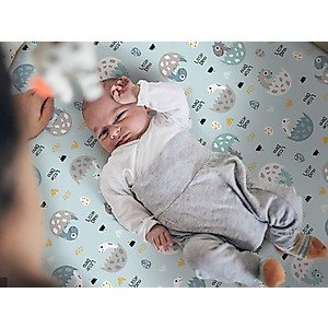 GRSSDER Stretchy Ultra Soft Jersey Knit Fitted Pack n Play Sheets Set 2 Pack, Portable/Mini Cribs Sheets, Happy Dinosaurs for Girls and Boys