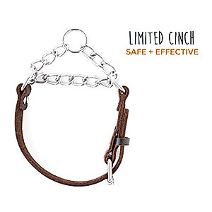Mighty Paw Leather Martingale Dog Collar | Premium No Pull Dog Collar Martingale Collar for Dogs, Stainless Steel Chain, Limited Chain Cinch Training Collar. for Large, Medium and Small Dogs (Brown)