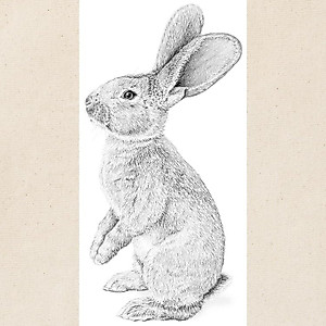 CafePress Giant Rabbit Tote Bag Natural Canvas Tote Bag, Reusable Shopping Bag