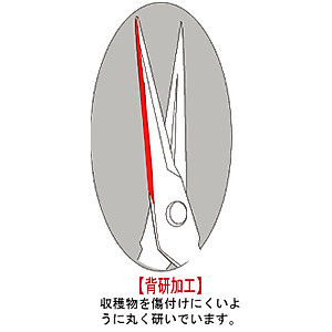 Stainless steel Harvesting Scissors T-500S