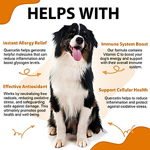 Quercetin for Dogs | Quercetin with Vitamin C for Dogs | Quercetin for Dogs Allergies | Quercetin Dog | Dogs Quercetin Supplement | Support Balanced Immune System | 60ml 2.02 fl oz