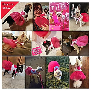 Idepet Spring Summer Pet Dog Cat Puppy Tutu Princess Dress Heart Printed Lace Dog Skirt Pet Apparel Dog Dress(XXL)