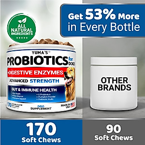 Probiotics for Dogs and Digestive Enzymes - 170 Dog Probiotics Chews - Dog Probiotic - Anti Diarrhea, Upset Stomach & Gas Relief, Constipation, Canine Prebiotic - Pet Fiber Supplement - Gut Health