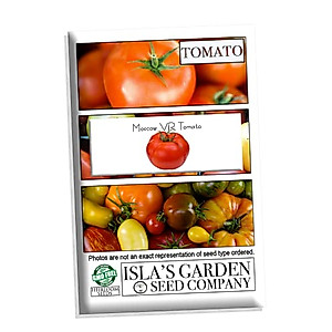 Moscow VR Tomato Seeds, 50 Heirloom Seeds Per Packet, (Isla's Garden Seeds), Non GMO Seeds, Botanical Name: Solanum lycopersicum, Great Home Garden Gift
