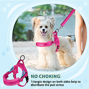 SlowTon No Pull Small Dog Harness and Leash Set, Puppy Soft Vest Harness Neck & Chest Adjustable, Reflective Lightweight Harness & Anti-Twist Pet Lead Combo for Small Medium Dogs (Fuchsia, XXS)