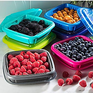 Hutzler Bitty Box Berry Keeper, 9 oz, blue (73BL)