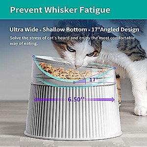 uahpet Elevated Cat Food Bowl Super Widen Raised Cat Food Dishes for Protecting Spine, Reliefing Whisker Fatigue, Anti-Vomiting 17° Tilted Pet Feeding Bowls with Silicone Mat for Indoor Cats