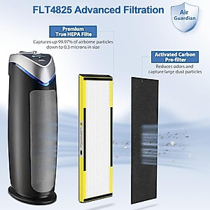 FLT4825 HEPA Filter B Replacement for Germ-Guardian Filter B, Compatible with 22" Air Pu-rifier AC4825E AC4825 AC4300 AC4900CA AP2200CA AP2800CA, 2 HEPA and 8 Pre-Filter