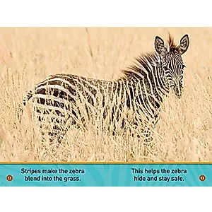 A Zebra's Day (National Geographic Kids Readers, Pre-Reader)