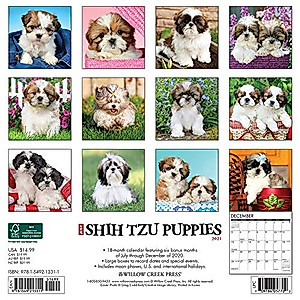 Just Shih Tzu Puppies 2021 Wall Calendar (Dog Breed Calendar)