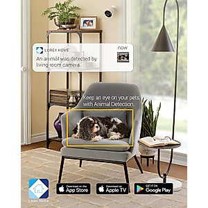 Lorex 2K Indoor/Outdoor Spotlight Camera with Color Night Vision, 2-Way Talk, Person Detection, White (White)