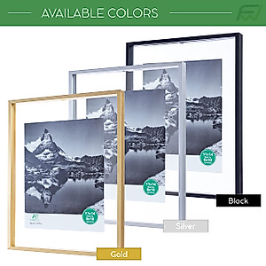 FrameWorks 11”x14” Deluxe Brass Gold Aluminum Contemporary Style Floating Picture Frame with Tempered Glass