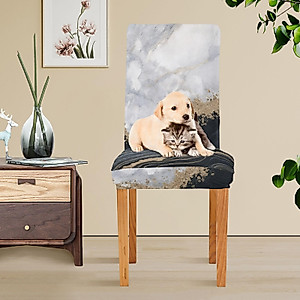 xigua Universal Dining Chair Cover 4-Piece Set, Black White Gold Marble Removable Washable Dining Chair Slipcovers Protective Cover for Home Party Decor