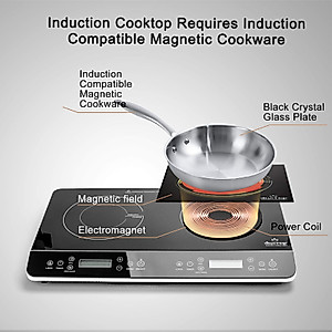 Duxtop LCD Portable Double Induction Cooktop 1800W Digital Electric Countertop Burner Sensor Touch Stove, 9620LS/BT-350DZ