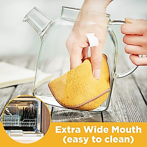 SITIEPA Glass Tea Pot Kettles Stovetop Safe, 33.8oz/1000ml Heatproof Borosilicate Glass Teapot Water Pitcher With Bamboo Lid and Removable Filter Spout for Loose Leaf and Blooming Tea