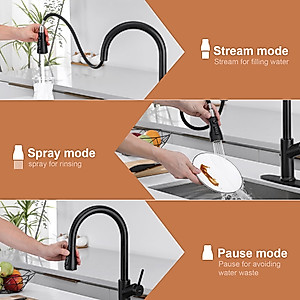 Indare Kitchen Faucets， Kitchen Faucet with Pull-Down Sprayer， Matte Black Kitchen Faucet with Deck Plate， Kitchen Faucet with Sprayer