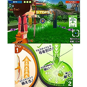 DualPenSports - Nintendo 3DS (Renewed)