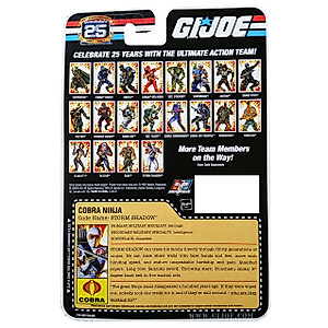 G.I. Joe 25th Anniversary: Classic Storm Shadow (Cobra Ninja) 3.75 Inch Action Figure