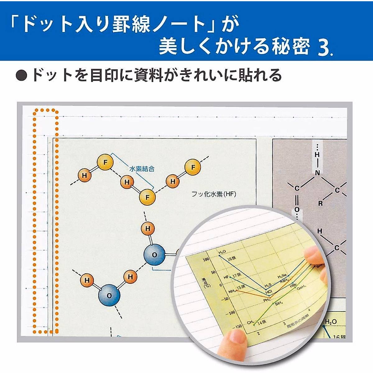 LIMITED Kokuyo NO-3CBTN-L30X5 Notebook, Campus Notebook, Limited B5, Dotted B Rule, Fruity Pop, Pack of 5 Japan Import