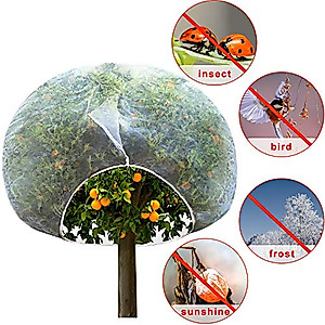 Garden Insect Plant Netting Cover with Zipper H in-Shape Bag Garden Bug Plant Netting Cover for Protecting Plant Fruits Flower from Insect Bird Eating (1, 84 x 72 inch)