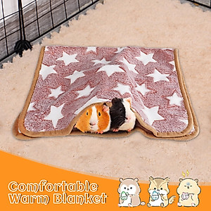 Guinea Pig Blanket, 2 Pack Warm Soft Coral Fleece Small Animal Blankets Washable Pet Cage Liners Sleep Mat Pad Cover for Rabbit Hamster Dog Cat Ferret Chinchilla Hedgehog Bedding, 24" x 16"