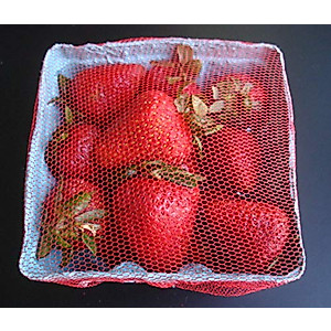 100 pcs mesh Netting for Berry Baskets Farmers Market Produce Supplies Stretchable net fits Quart Pint Half Pint Box (One Size)