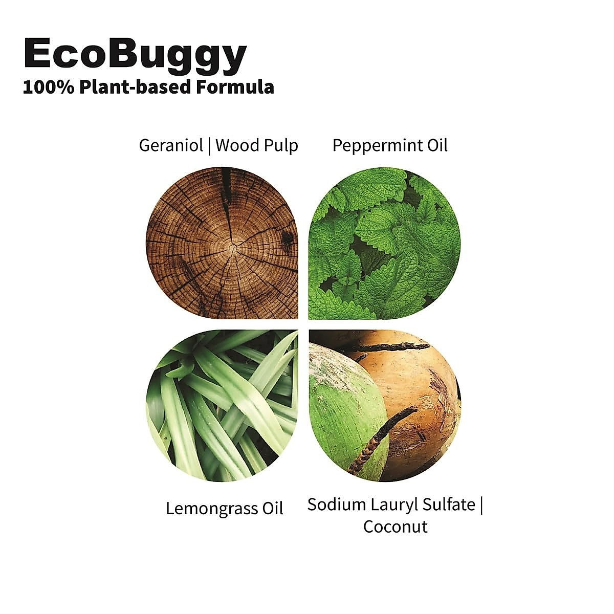 EcoBuggy Family Mosquito & Tick Repellent Spray, 100% Plant-Based Actives, DEET-Free, Extra Long-Lasting with HTR Technology, 4 Ounce, Pack of 2