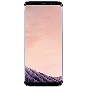 Samsung Galaxy S8 Plus 64GB Orchid Gray AT&T