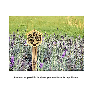 Mason Bee House - Handmade Wooden Bee Hotel Natural Bamboo Bee Habitat Hive Bee Box for Carpenter Bee, Garden Gifts, Pollinating Bees, Leaf Cutter Bee