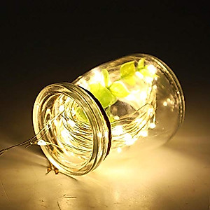 Vensans 50 LED Fairy String Light, LED String Light for Bedroom Lawn Landscape Garden Home Christmas Holiday Decor (Warm White)