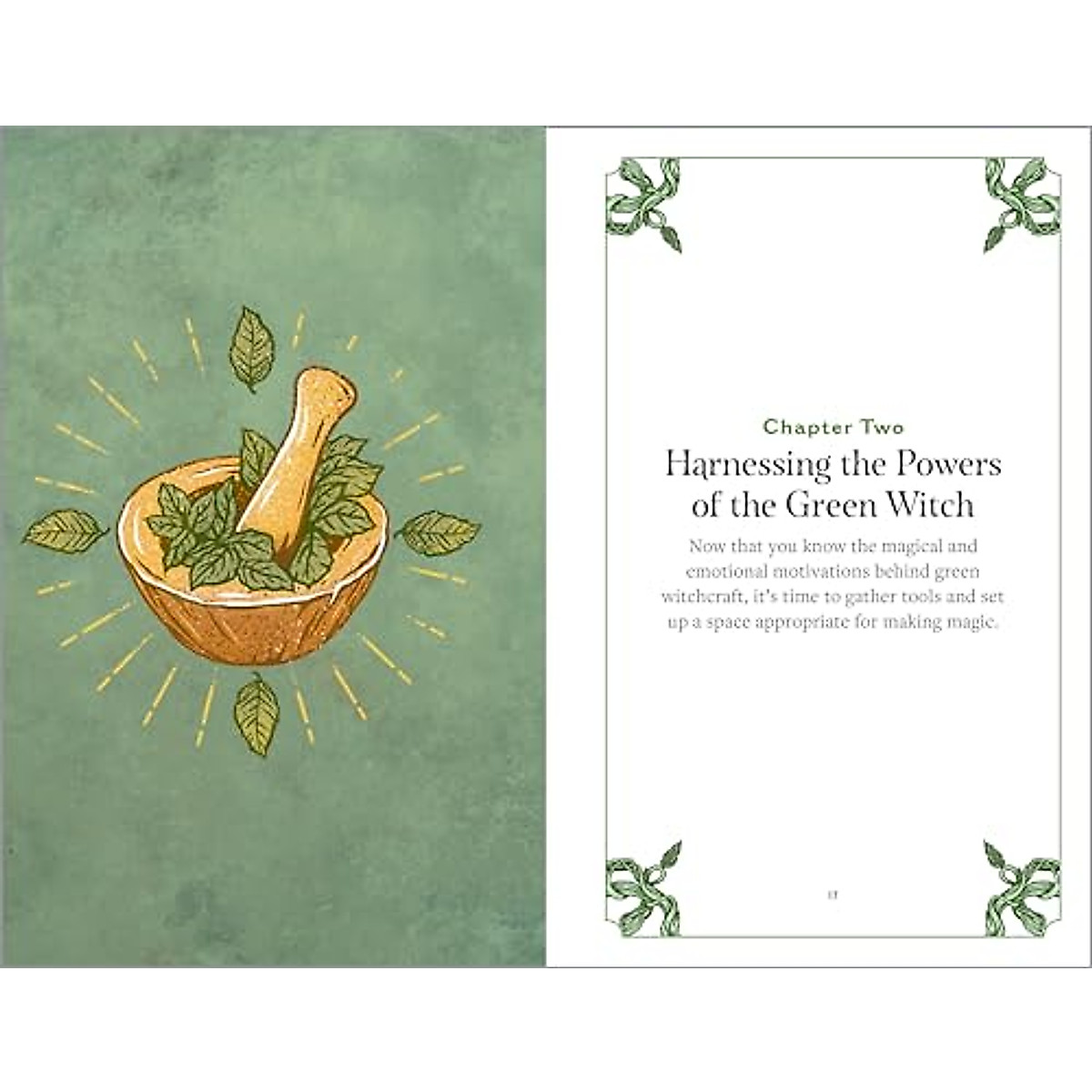 Green Witchcraft: A Practical Guide to Discovering the Magic of Plants, Herbs, Crystals, and Beyond (Practicing Green Witchcraft)