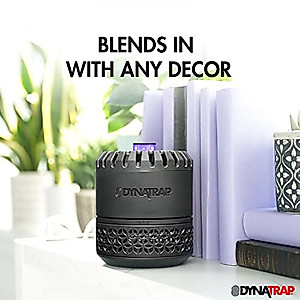 DynaTrap DT152 Indoor Insect Trap and Killer – Catches and Kills Fruit Flies, Gnats, Moths, Mosquitoes & Other Flying Insects