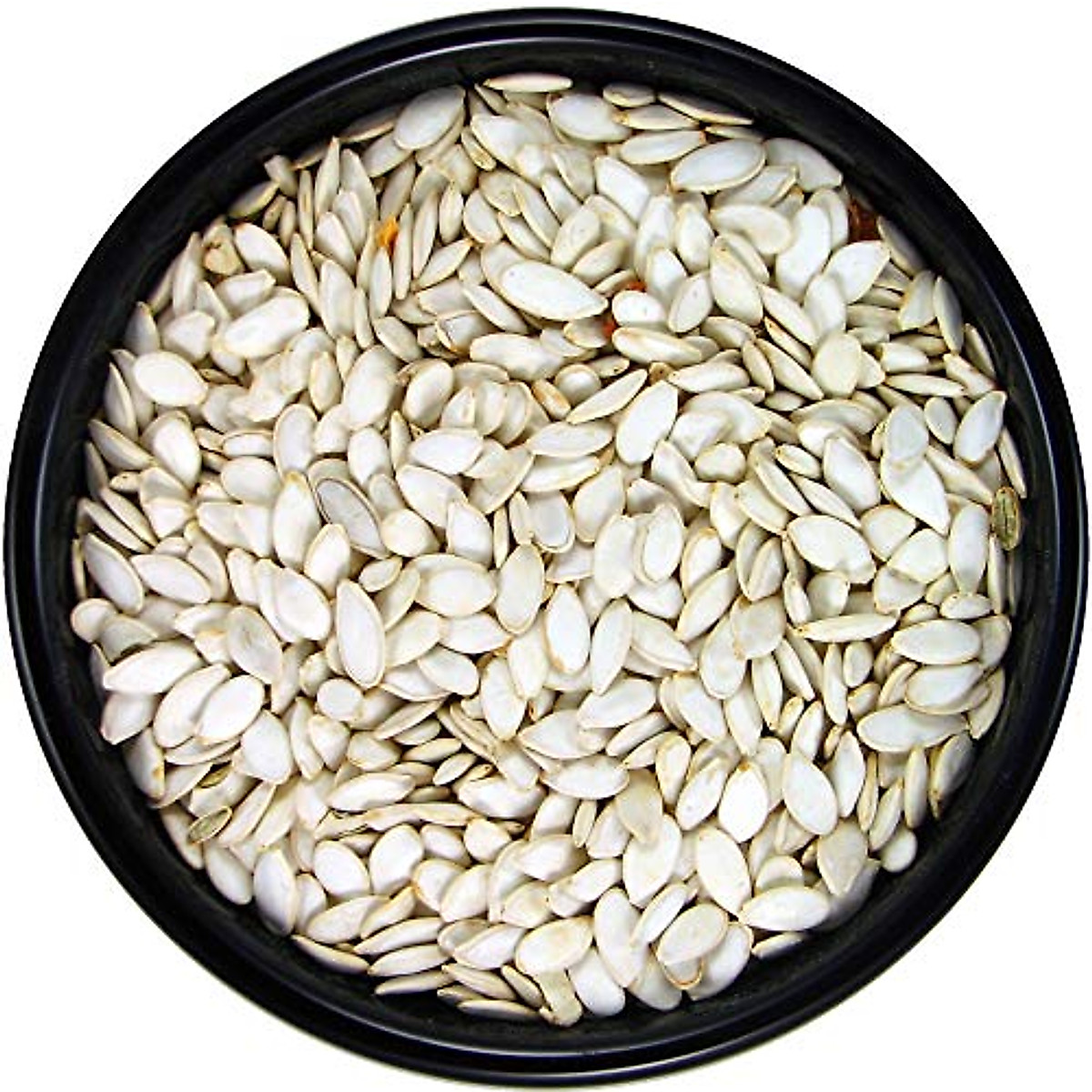 SLEEK & SASSY NUTRITIONAL DIET Oregon Squash (Pumpkin) Seeds Bird Treat (3 lbs.)