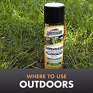 Spectracide Termite Killer, 16 oz - 12 count